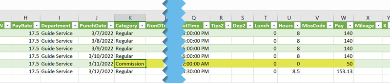 csvdetail File Format