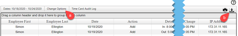 Time Card Audit Log Report